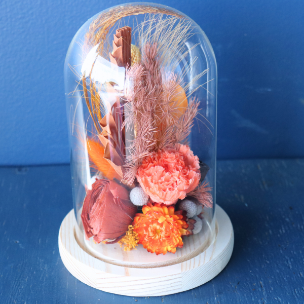 Preserved Dome | Solar Flare - Amys Flowers